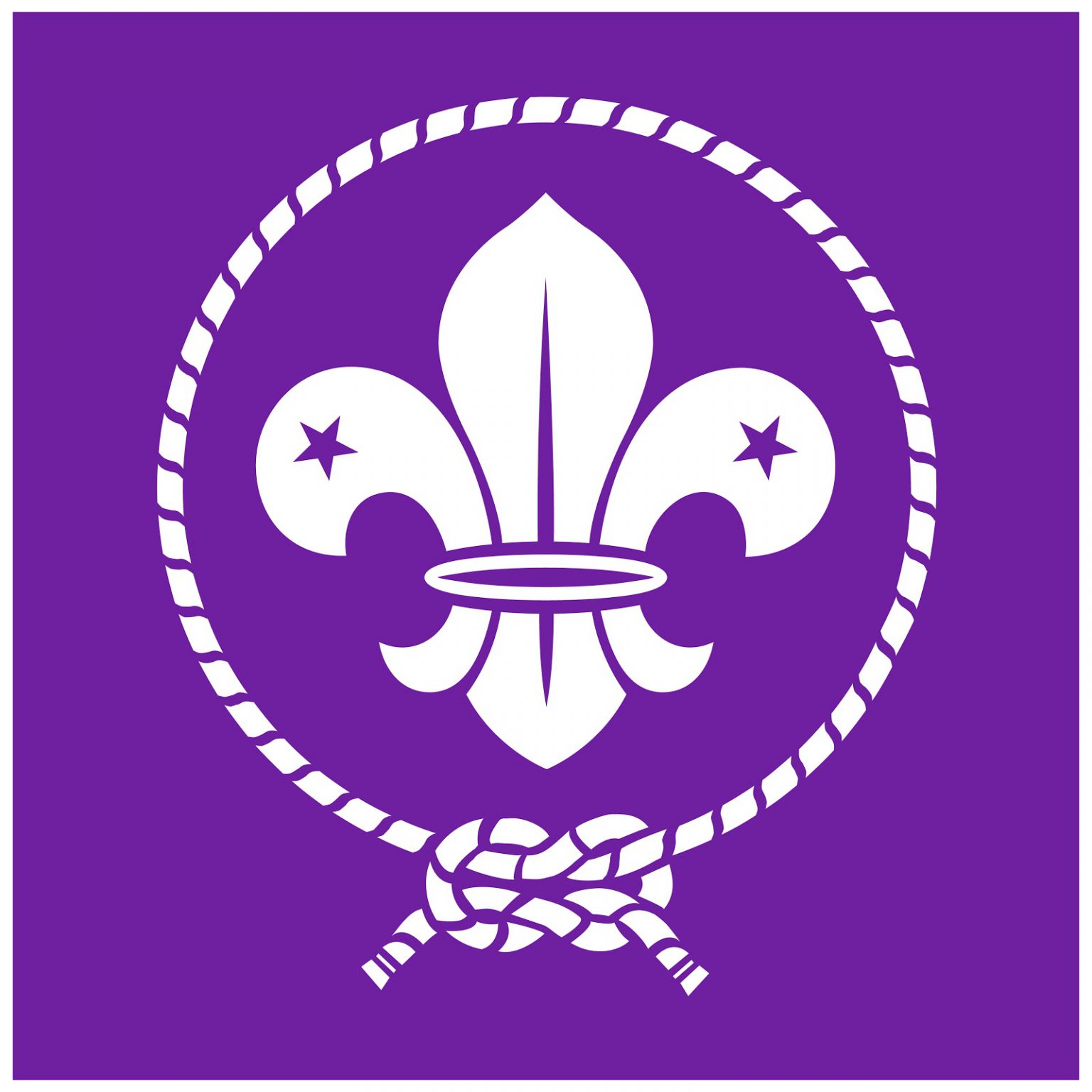 Eagle Scout Invitations: 8 Design Ideas to Celebrate Your New Eagle Scout