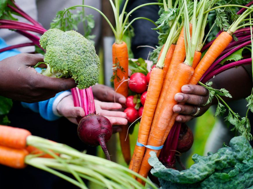 Announcing Our New Partnership with Tilth Alliance - STATIONERS