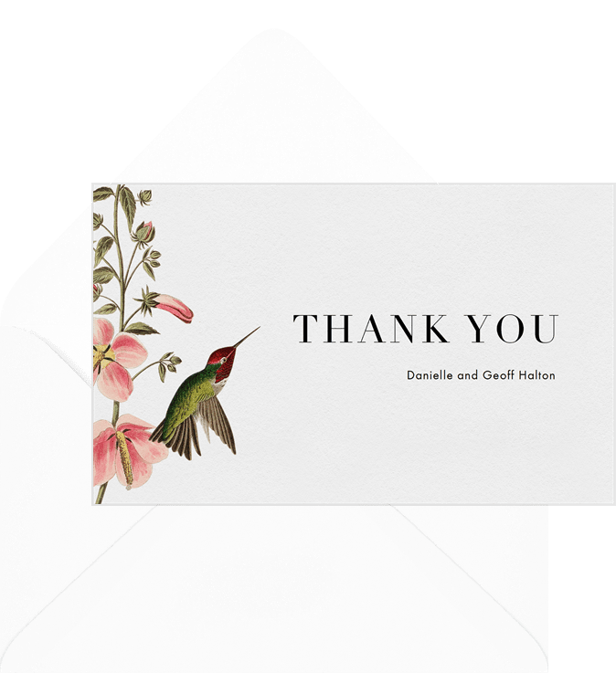 Vintage Hummingbirds Thank You Notes | Greenvelope.com